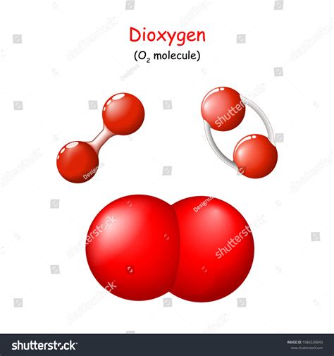 Oxygen Structural Chemical Formula Dioxygen O2 Stock Vector Royalty Free 1986530843 Shutterstock