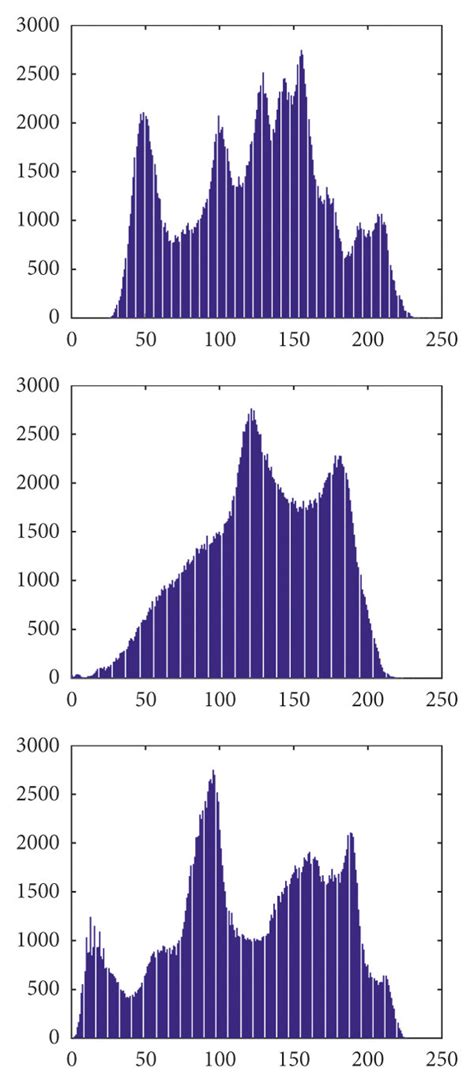 histogram test a plain images b histograms of the plain images