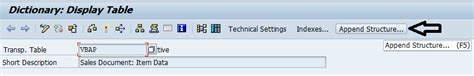 Add A Custom Date Field In VA Under Sales Tab SAP Community