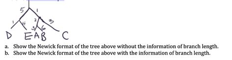 Solved 5 Eab C A Show The Newick Format Of The Tree Above