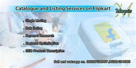 Meeshoflipkartamazon Account Management Services At ₹ 2999month In