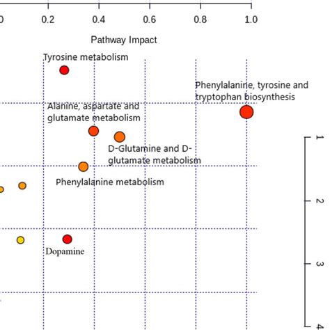 Pathway Analysis With Metaboanalyst Software Download Scientific Diagram
