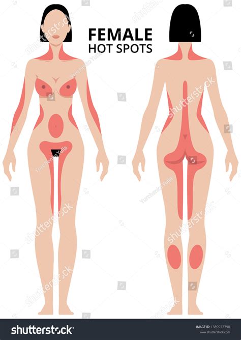 Vektor Stok Vector Illustration Female Erogenous Zones Woman Tanpa Royalti 1389922790