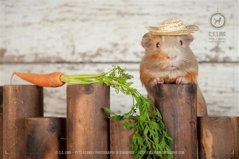 Install Tensorflow Gpu On Ubuntu 1804 Lts By Fan Yeng Loon Analytics Vidhya Medium