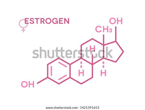 Estrogen Hormones Molecular Formula Sex Hormone Stock Vector Royalty Free 1421391653