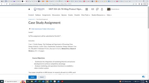 Hide Submission Folder Information Turnitin Tm This