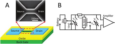 A Typical Image Of A Fabricated Silicon Nanowire Fet Device Obtained Download Scientific