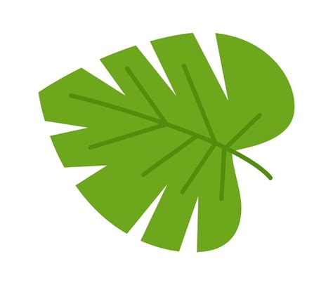 Premium Vector Tropical Tree Leaf Vector Illustration