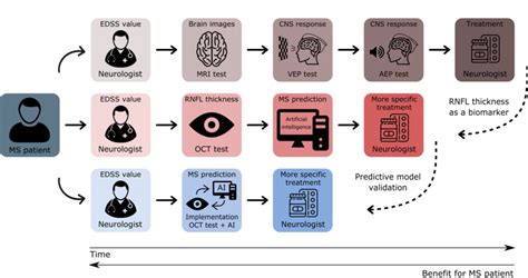 Flowchart Of The Treatment Process For Ms Patients The Top Row Shows