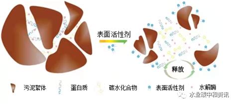 表面活性剂对污水处理效果的影响与机理 上海国际泵阀展flowtech China