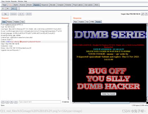 Sql注入类型之cookie注入cookieshaopsql文件 Csdn博客
