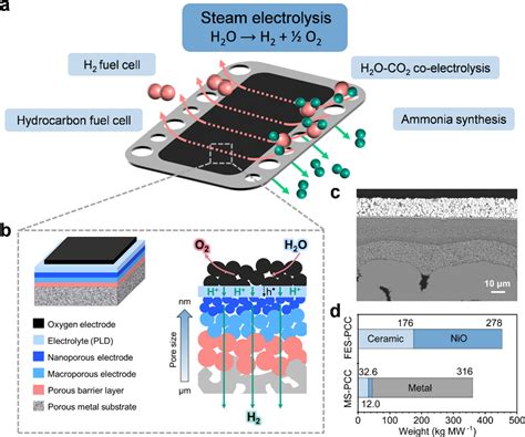 Hydrogen Production With A Protonic Ceramic Membrane Reactor On Porous