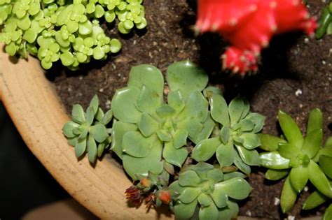 Propagation Question With Pics