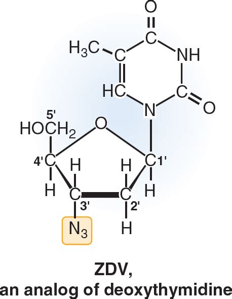 Nucleic Acid Structures