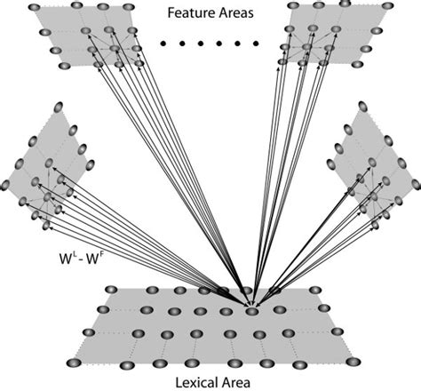 The Representation Of Objects In The Brain And Its Link With Semantic Memory And Language A