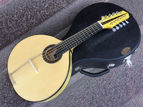 Top 15 Best 10 String Mandolin Reviews And Comparison 2023