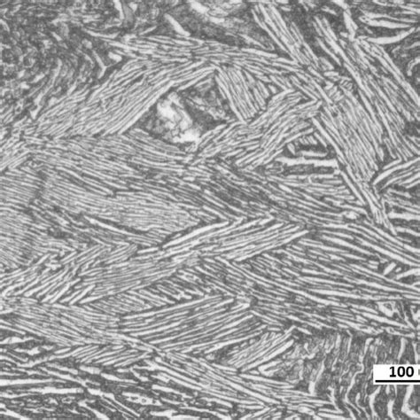 Microstructure Of Ta15 Titanium Alloy Specimens Compressed To Strain