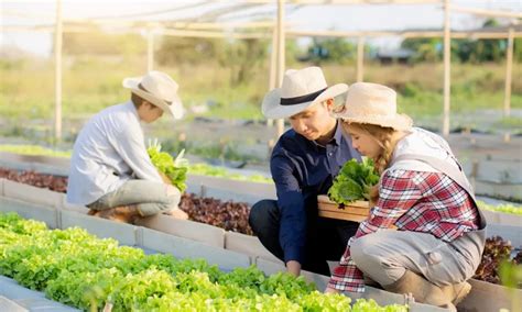 Писмата за одобрение по мярка 10 „Агроекология и климат“ и мярка 11 „Биологично земеделие“ за