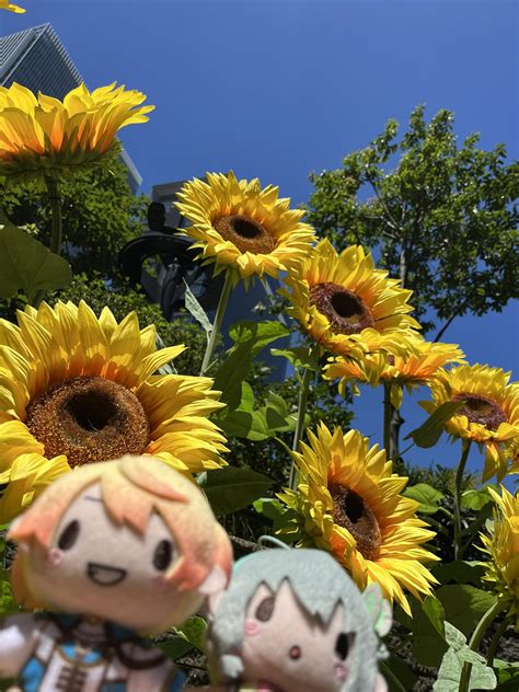 on Twitter つかねねさんとダョと俺 https t co D vUZ oN Twitter
