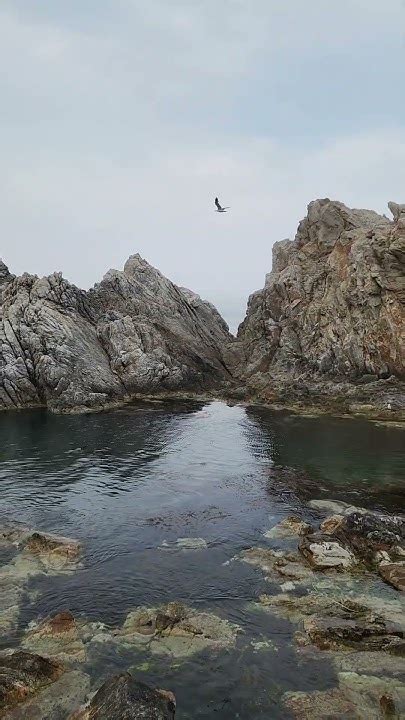 장호항 해변 ᆢ 지금은 물놀이 하는 사람들이 많아요 Youtube