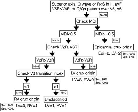 Mapping And Ablation Algorithm For The Ventricular Arrhythmias Vas