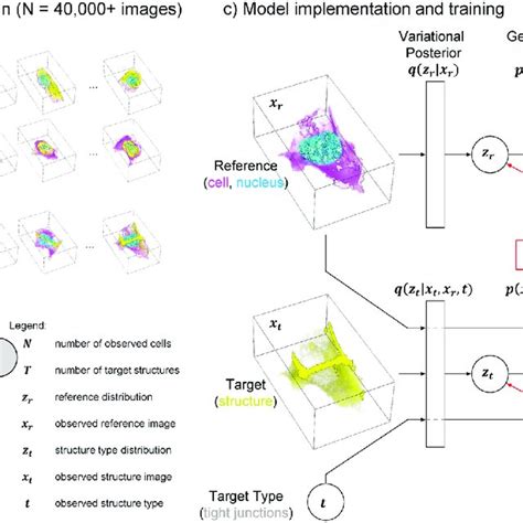 The Statistical Cell A A Visual Overview Of The Single Cell Data
