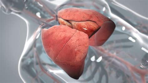 Stage 3 Lung Cancer All That You Need To Know Scientific Animations