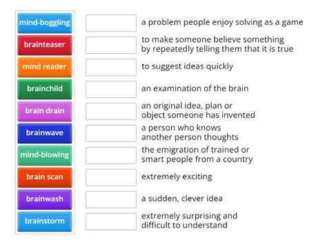 C Mind Vs Brain Definitions Match Up