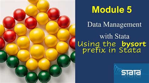 Powerful Ways To Use The Bysort Prefix In Stata Youtube