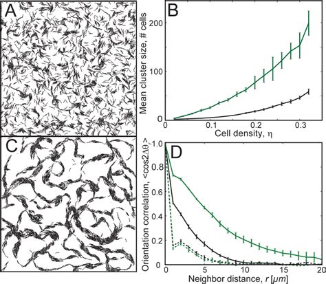 Clustering Behavior Of Periodically Reversing Agents In Download