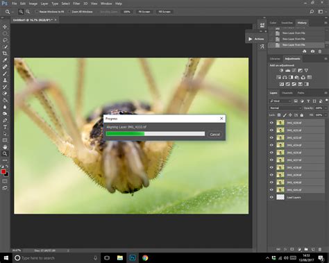 How To Focus Stack Macro Photos In The Field Nature TTL