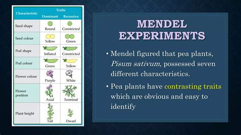 Bio 111 Monohybrid Inheritancepptx