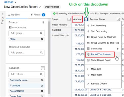 Bucket Field In Salesforce Simplify Your Data Categorization
