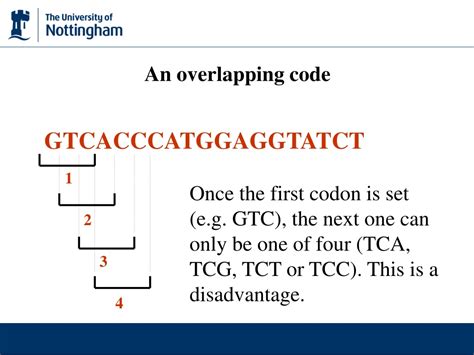 Ppt The Genetic Code Powerpoint Presentation Free Download Id 9376995