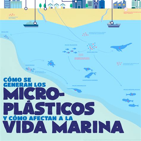 Infographic How Are Microplastics Generated And How Do They Affect