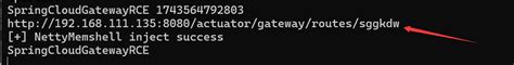 Springboot常见漏洞总结springbootexploit 13 Snapshot Alljar Csdn博客