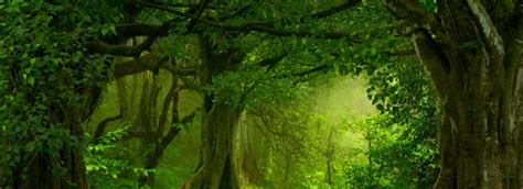 Introduction Akibs Eportfolio