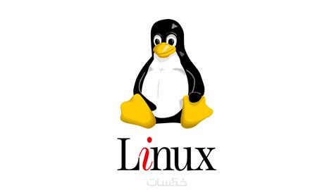 تقديم الحلول لتحديات نظام التشغيل Linux خمسات