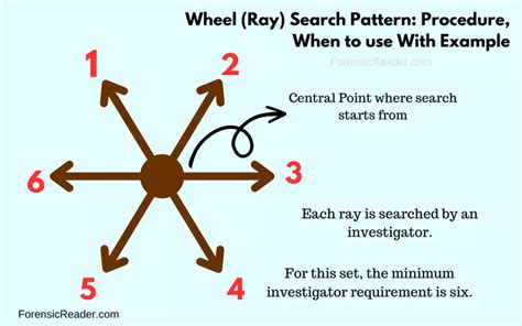 crime scene search methods and patterns [use examples]