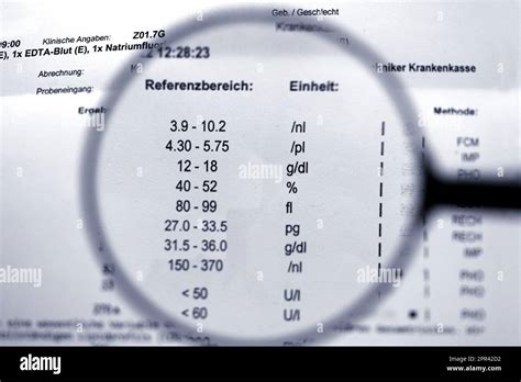 Result Of A Blood Test Haemogram View With A Loupe Reference Area