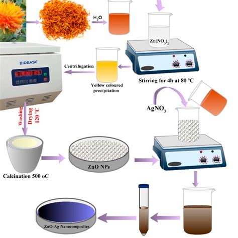 The Proposed Method For The Preparation Of Zno Nps And Zno Ag Download Scientific Diagram