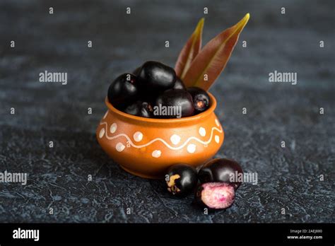 Jambolan Plum Or Jambul Or Jamun Fruit Java Plum Syzygium Cumini With Leaf On Stone Textured