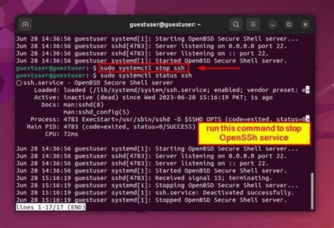How To Install Openssh On Ubuntu[15 Easy Steps]