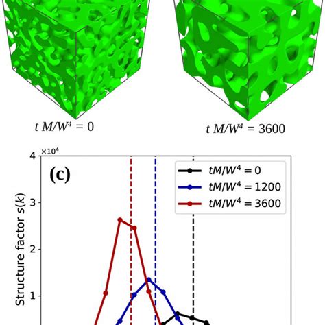 A Example Of Initial Microstructure Considered For Volume Fraction ρ