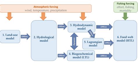 Modelling Micro Plastics Ecosystem Modelling With Ewe