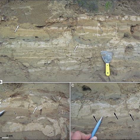 Summary Of The 17 Types Of Soft Sediment Deformation Structures Found