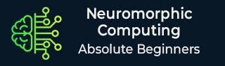 Neuromorphic Computing Programming Paradigms