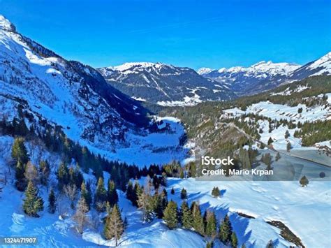Suasana Musim Semi Di Hutan Konifer Alpine Dan Di Antara Pohonpohon Hijau Di Lereng Gunung Sex