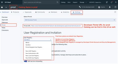 ibm cloud api connect developer portal usage kenan hançer blog