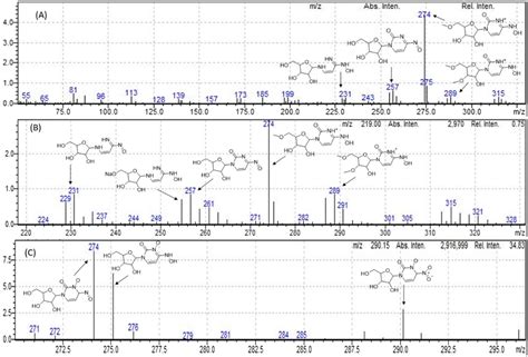 Mass Spectra And The Proposed Degradation Products A Acid Download Scientific Diagram